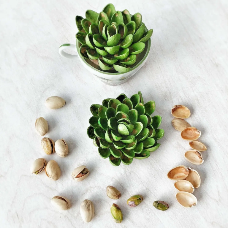 Pistachio Shell Crafts