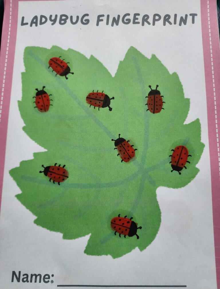 Fingerprint Lady Bug craft