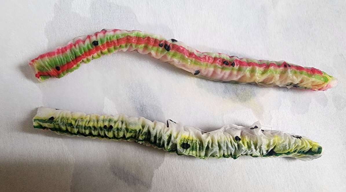 Tissue Paper Worm Craft for Kids