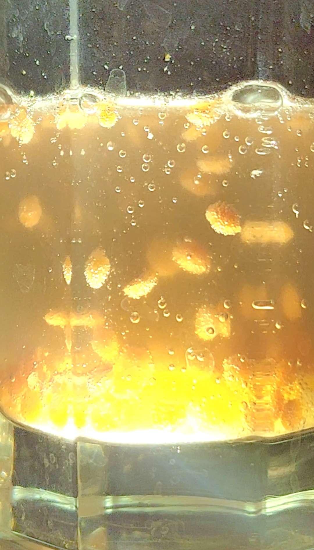 Dancing Lentil Experiment for Kids